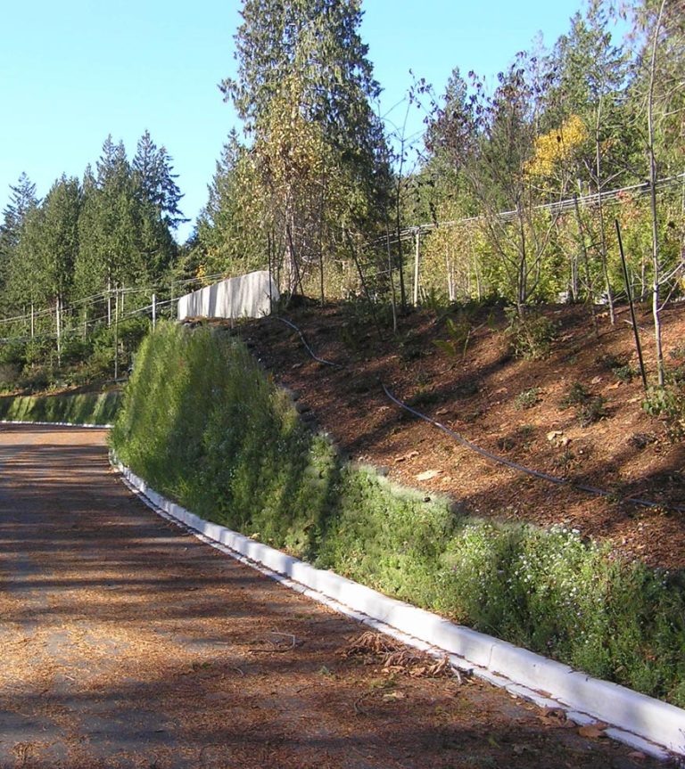 Vegetative Retaining Wall Systems